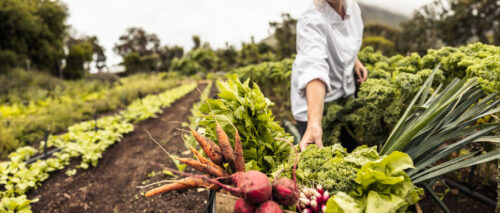 Sustainable Nutrition 2026 Guide | Health & Planet